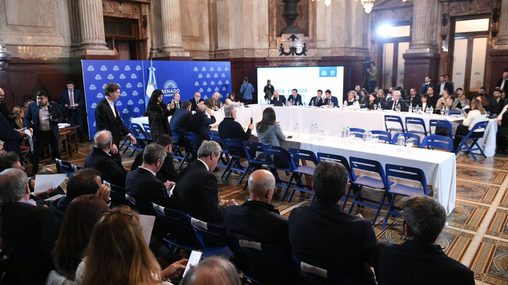 Biocombustibles: el Senado reabre una discusión que divide a ...